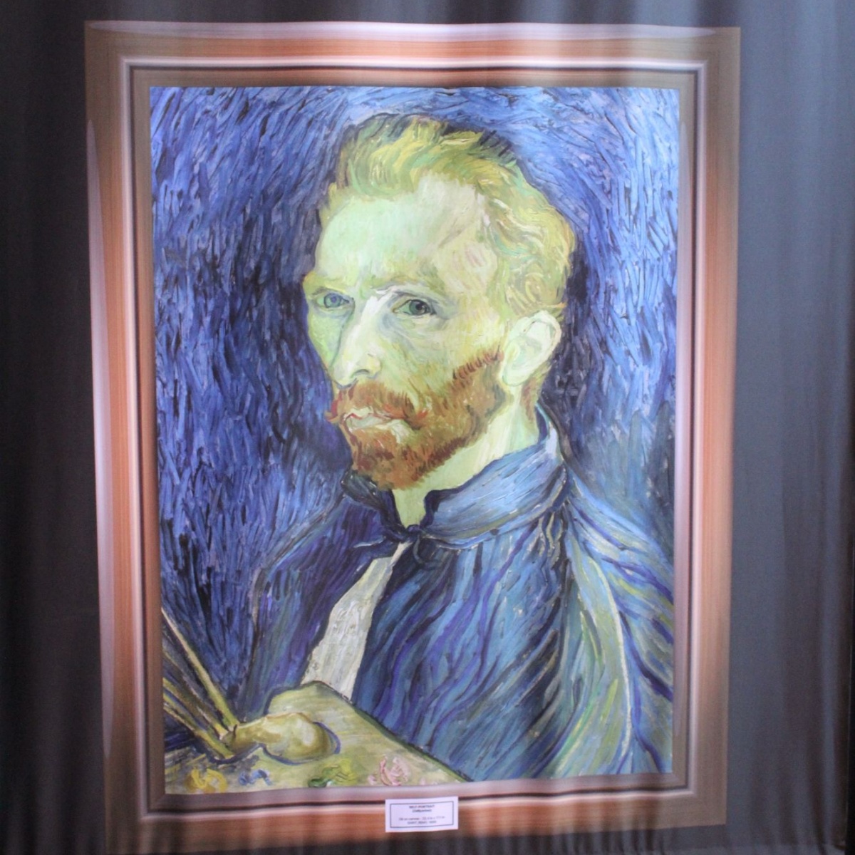 Belmore Primary School - Van Gogh Experience