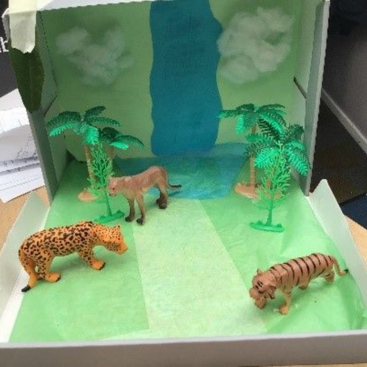 Belmore Primary School - Year 4 Dioramas